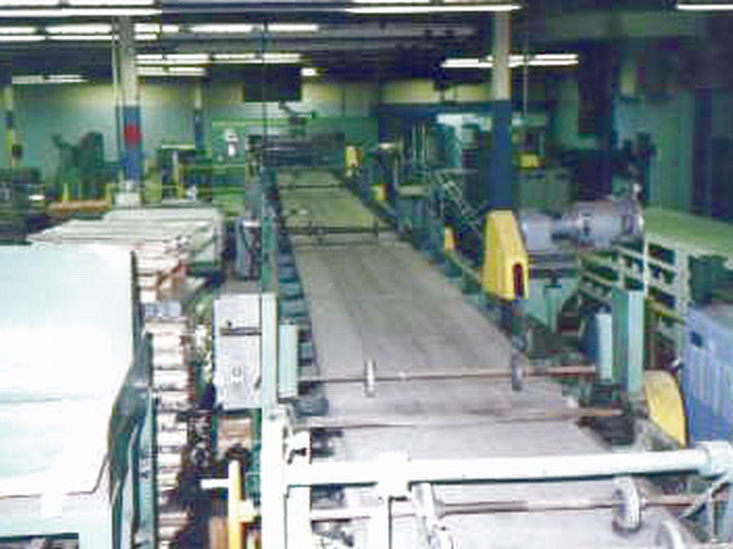250 TON SCHULER TRANSFER PRESS